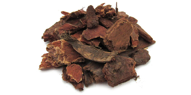 Herb of the Week: Jezebel Root – Green Egg Magazine